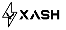 Xash Solutions | Digital Payments & Connectivity Services in Zimbabwe